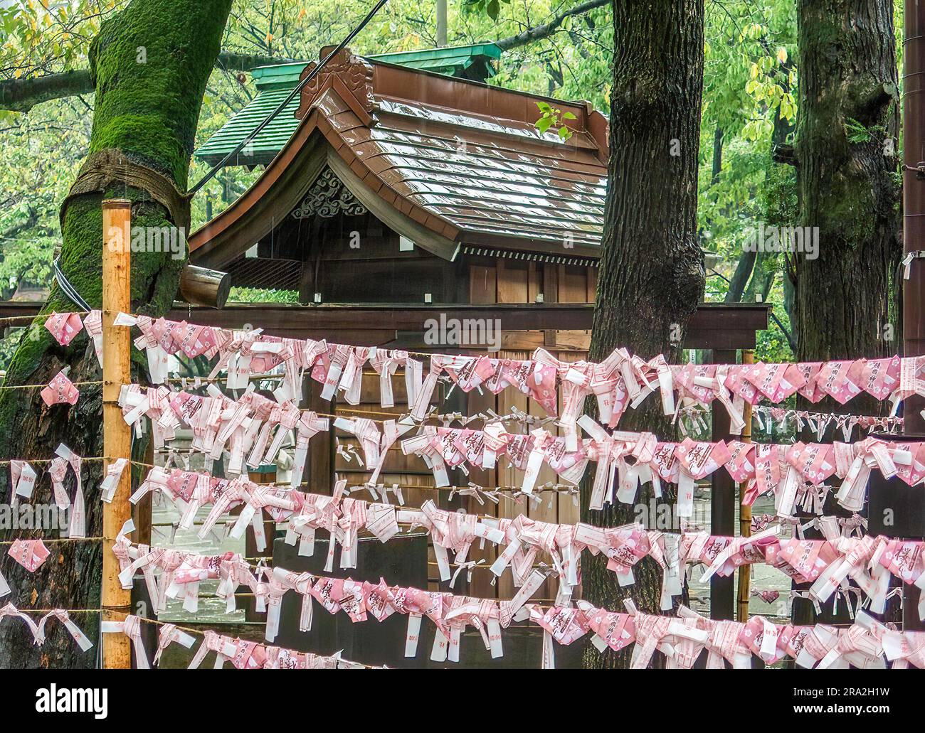 Written prayers hi-res stock photography and images - Alamy