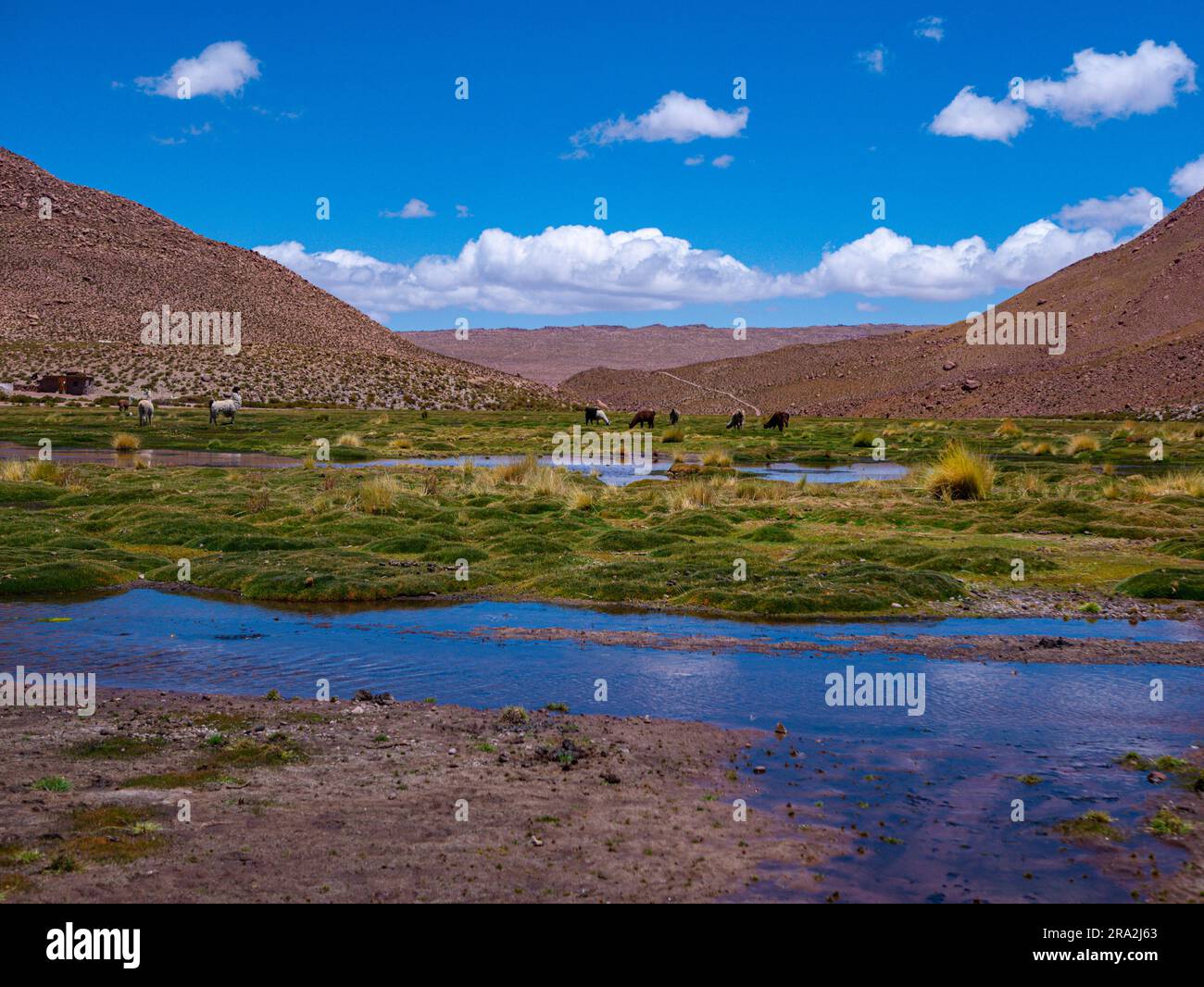 Desierto de agua hi-res stock photography and images - Alamy