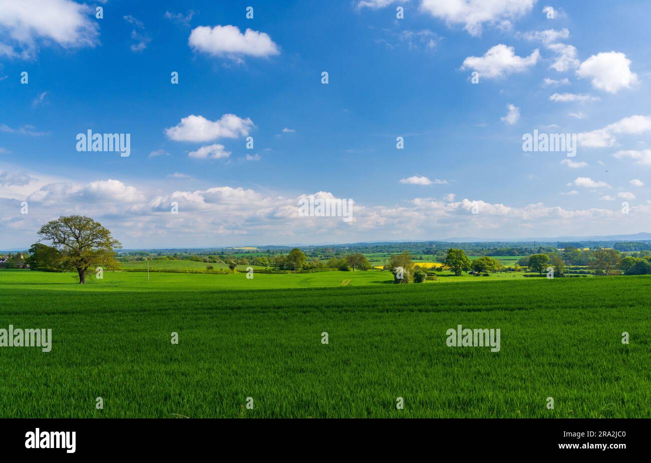 Traditional welsh farm building hi-res stock photography and images - Alamy