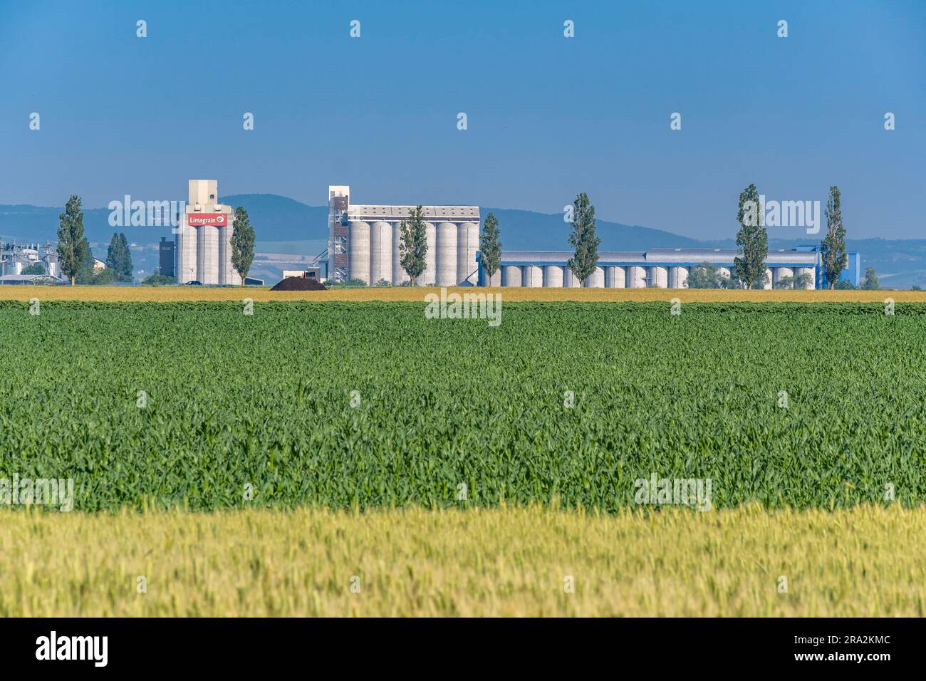 France, Puy de Dome, Ennezat, buildings of the Limagrain Agricultural ...