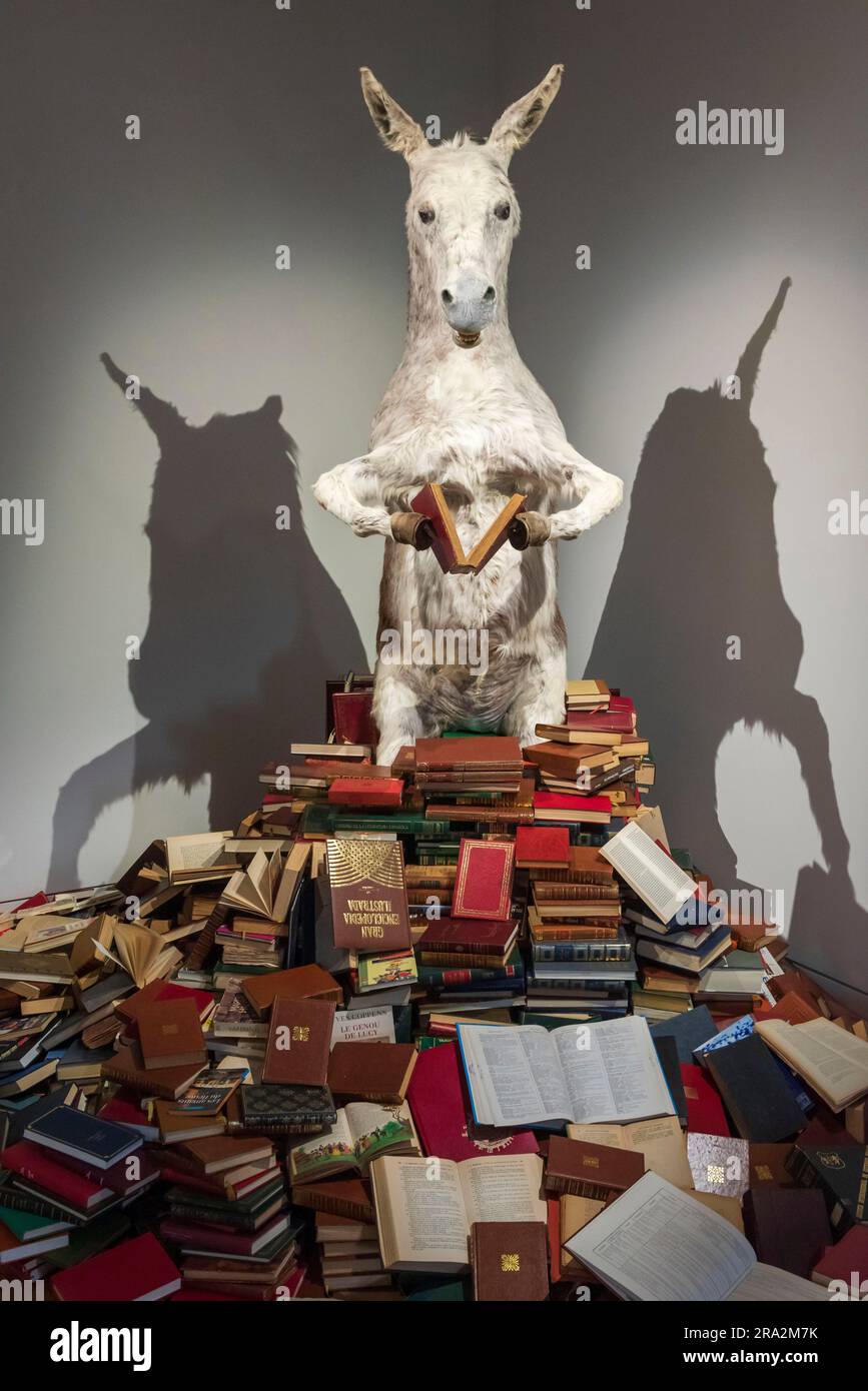 General installation view hi-res stock photography and images - Alamy