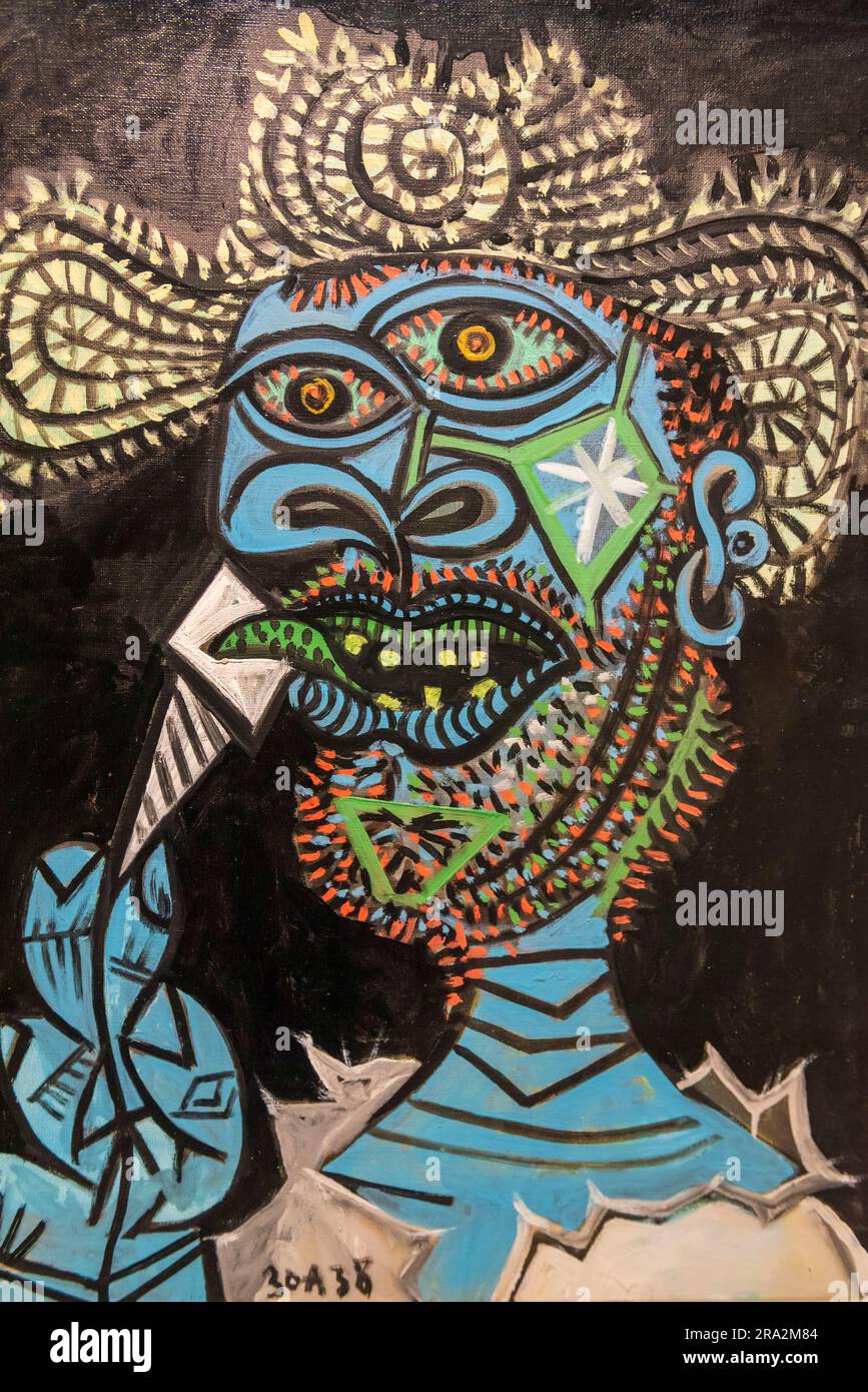 France, Tarn, Castres, Goya Museum, Man with straw hat and cornet by ...