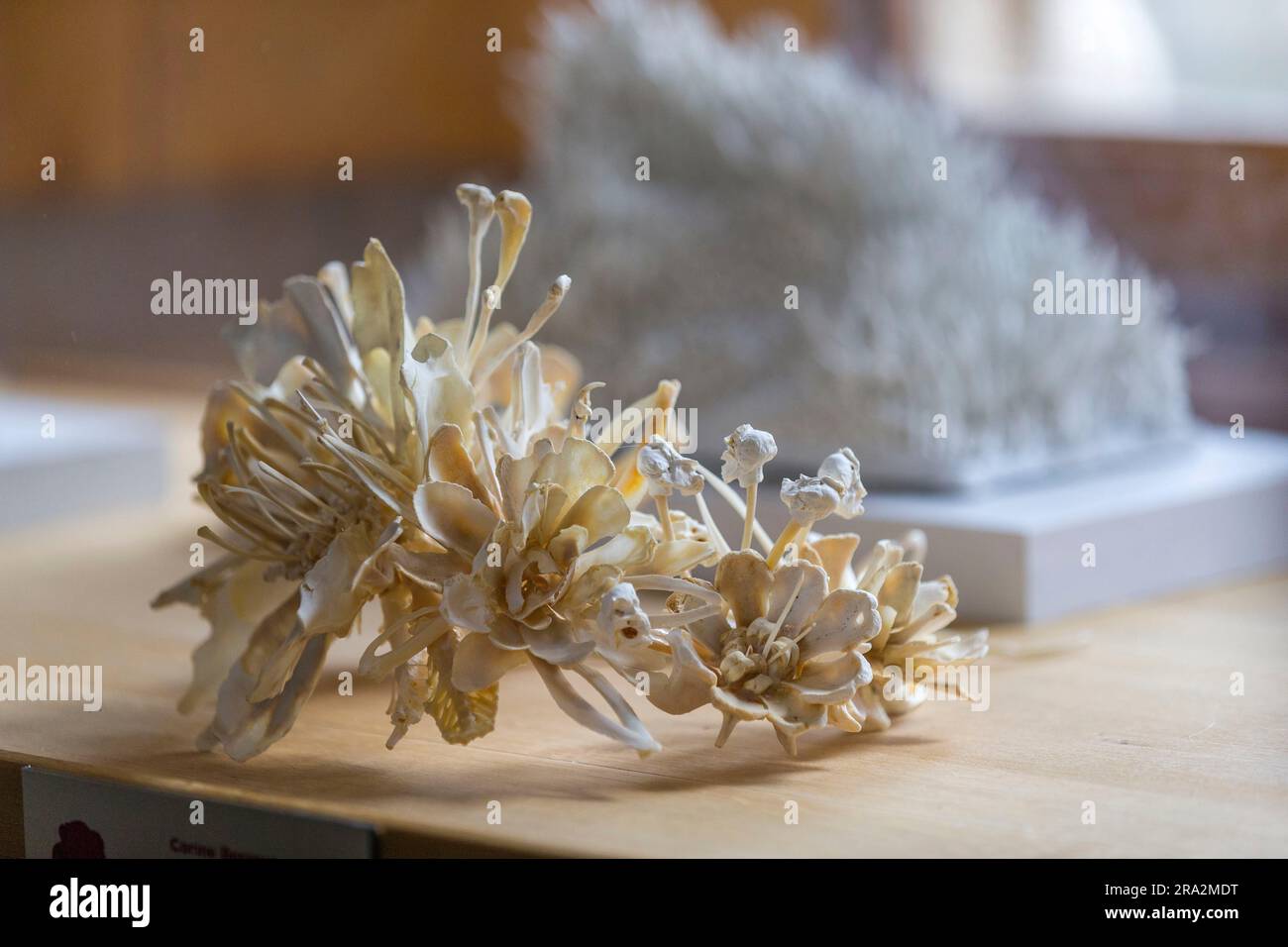 France, Indre-et-Loire, Loire Anjou Touraine regional natural park ...