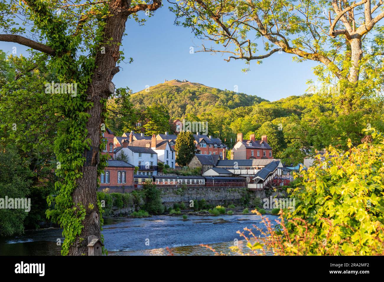 Dinas Bran castle and the river Dee at Llangollen, Denbighshire, North ...