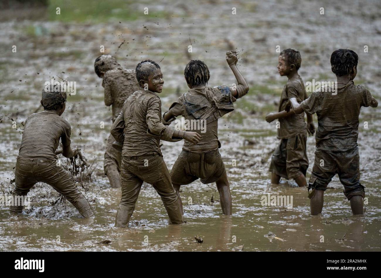 Children play in the mud in a paddy field during Asar Pandra, or paddy ...