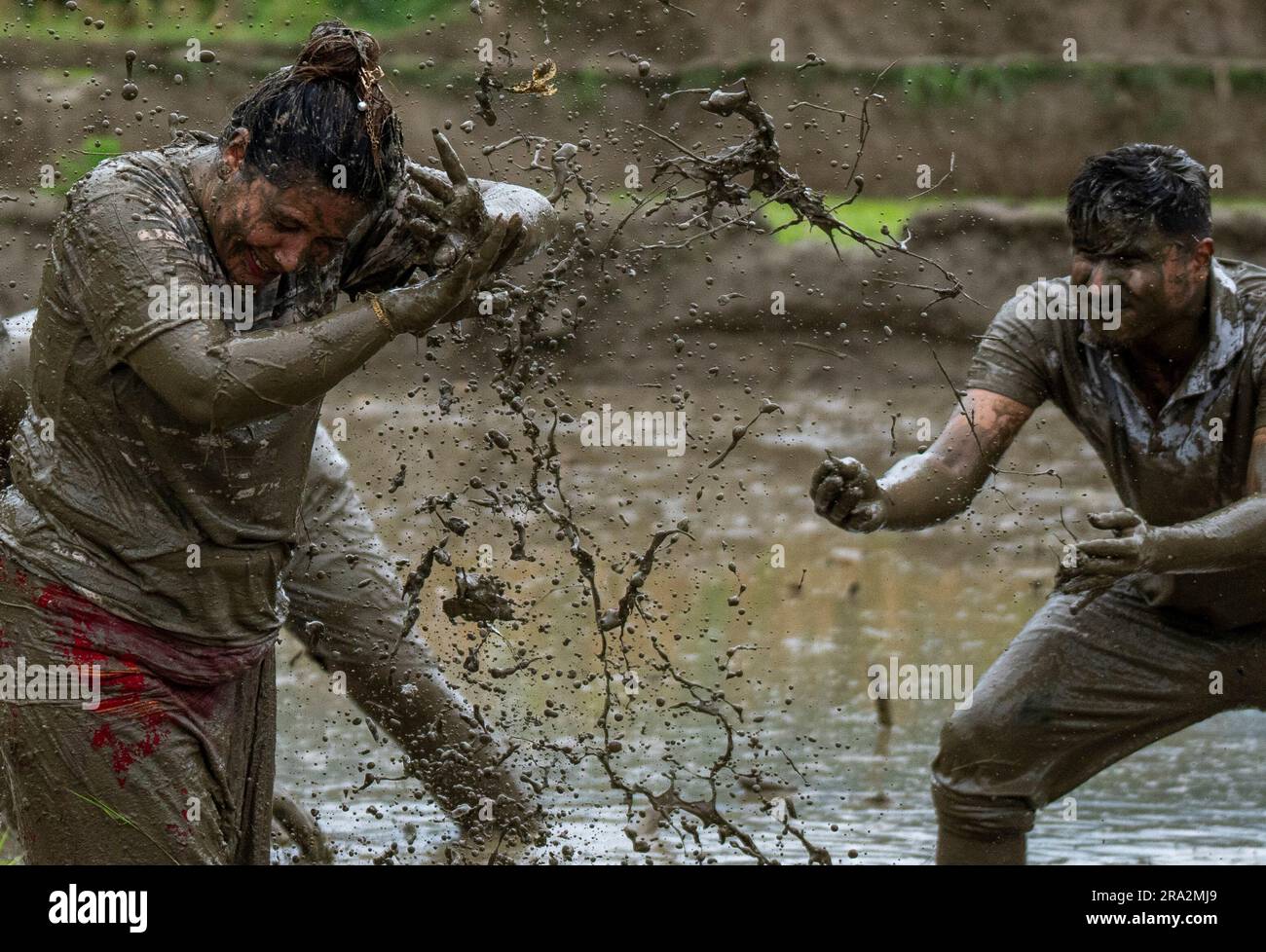People play with mud in a paddy field during Asar Pandra, or paddy ...