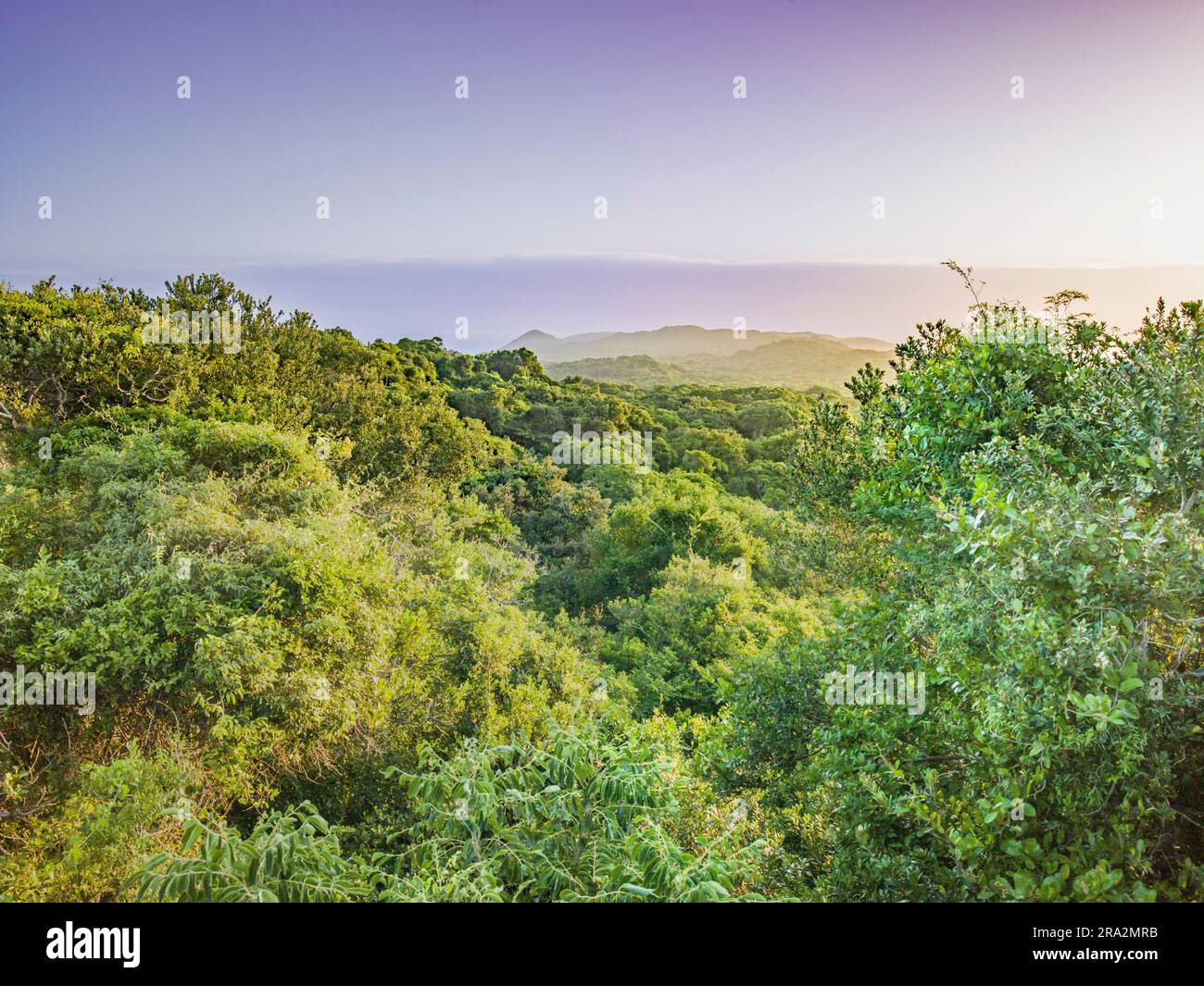South Africa, Kwazulu Natal, iSimangaliso Wetland Park, UNESCO World ...