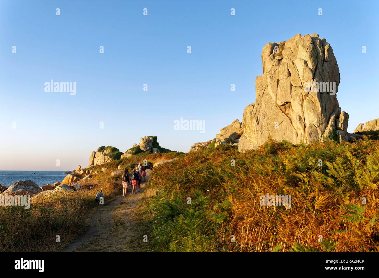 France, Cotes d'Armor, Cote d'Ajoncs, Plougrescant, on the GR 34 hiking ...
