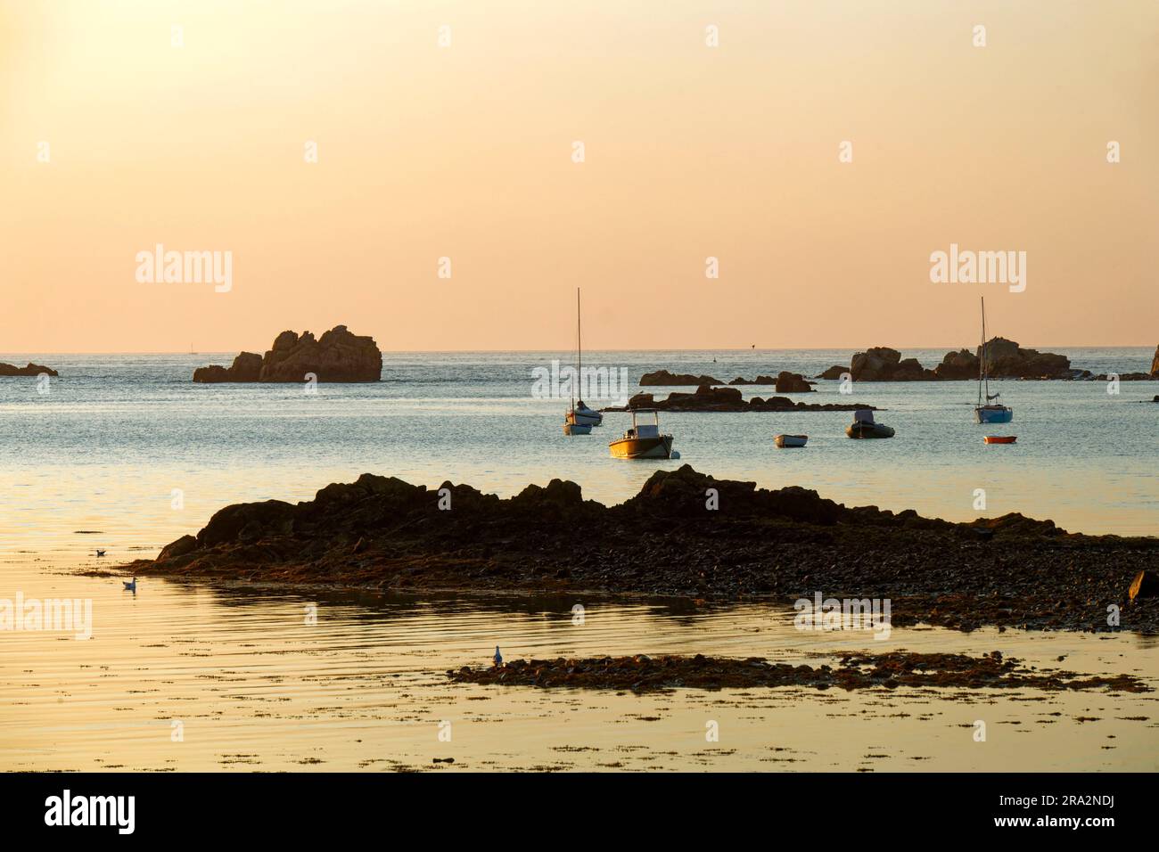 France, Cotes d'Armor, Cote d'Ajoncs, Plougrescant, on the GR 34 hiking ...
