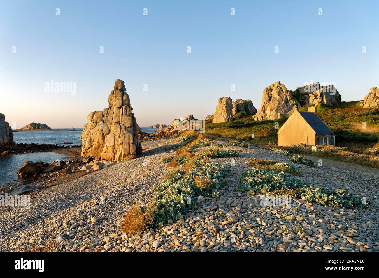 France, Cotes d'Armor, Cote d'Ajoncs, Plougrescant, on the GR 34 hiking ...