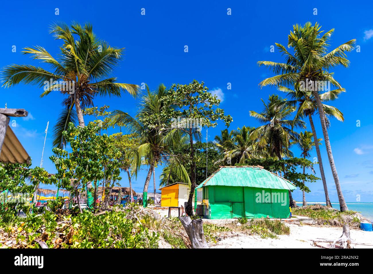 Brazil, Nordeste, Pernambuco, Coroa do Avião Island, small colored ...