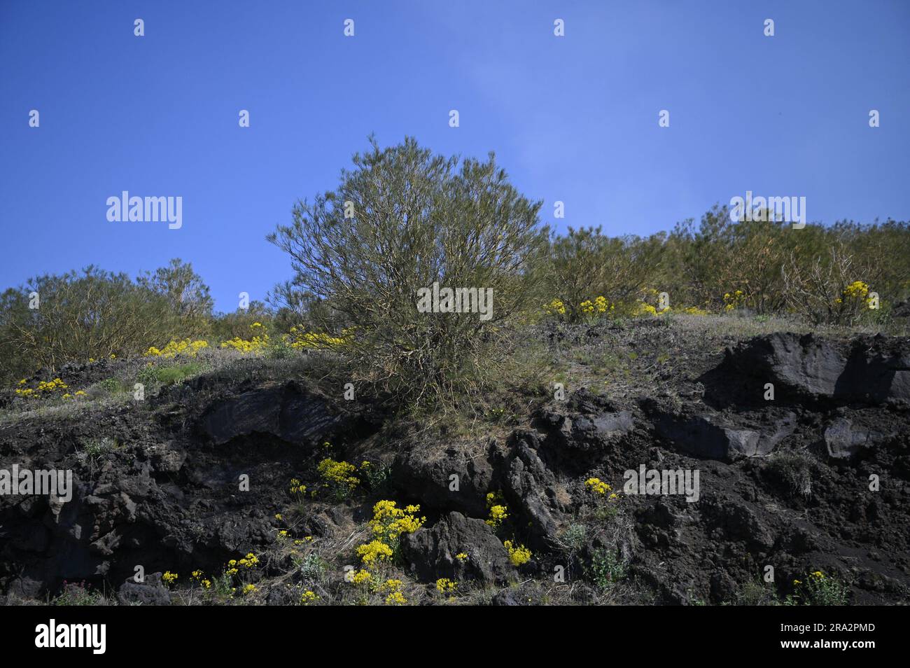 Scenic landscape on the grounds of Parco dell'Etna a protected natural ...