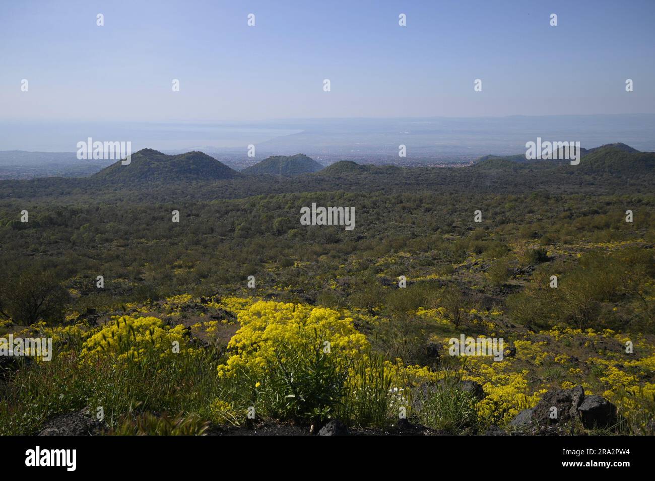 Scenic landscape on the grounds of Parco dell'Etna a protected natural ...