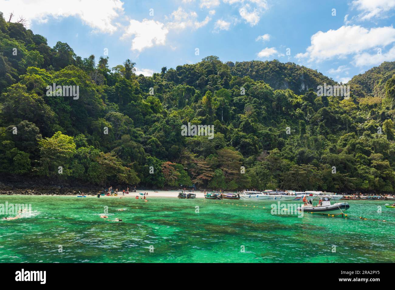 Thailand, Krabi Province, Koh Phi Phi Don island, Monkey beach Stock ...