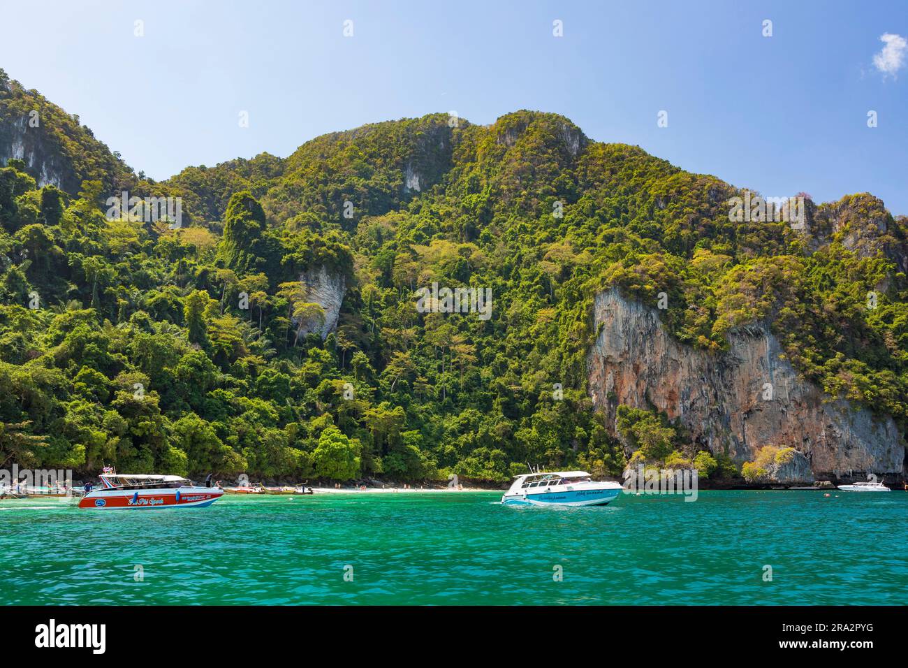 Thailand, Krabi Province, Koh Phi Phi Don island, Monkey beach Stock ...