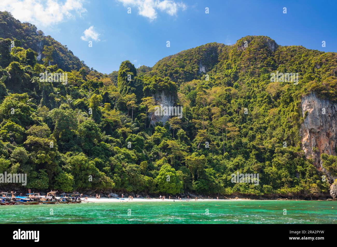 Thailand, Krabi Province, Koh Phi Phi Don island, Monkey beach Stock ...
