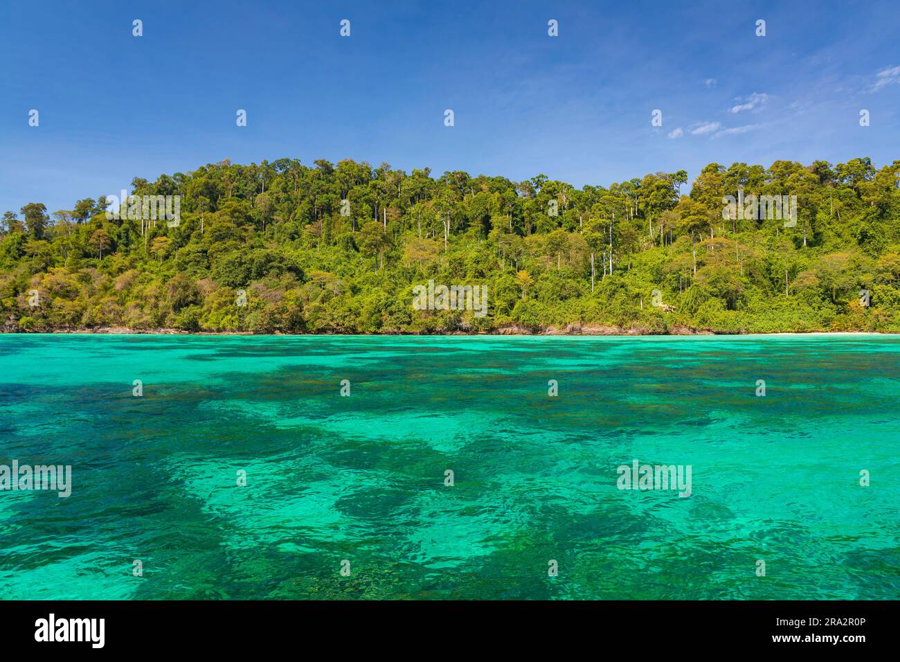 Thailand, Trang Province, Mu Koh Lanta national park, Koh Rok Noi ...