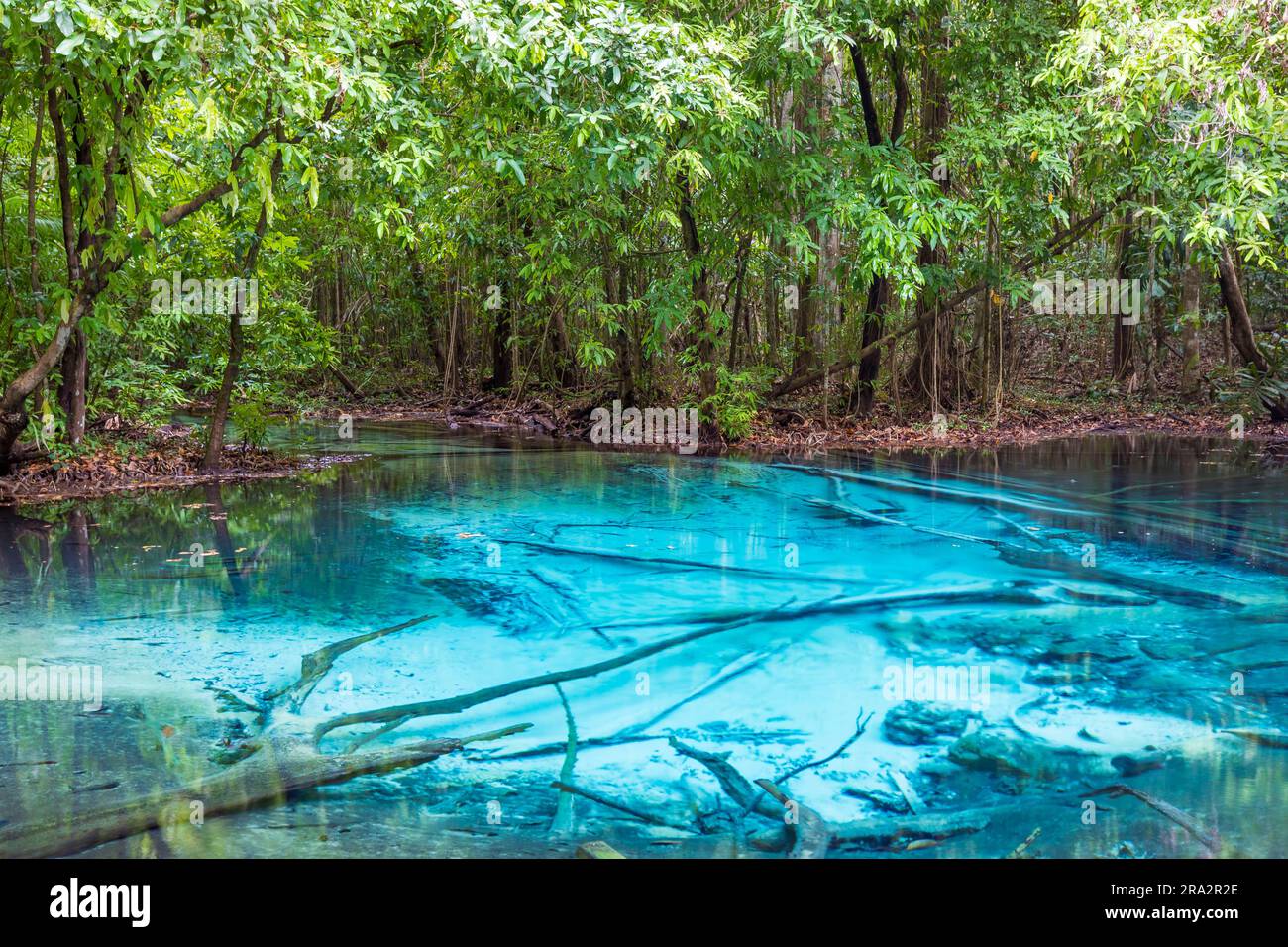 Thailand, Krabi Province, Khlong Thom, Khao Phra - Bang Khram Wildlife ...
