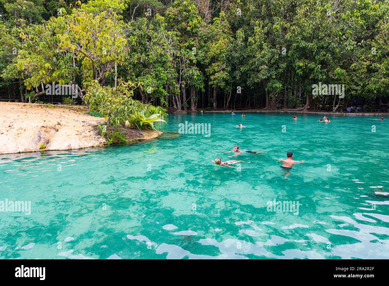 Thailand, Krabi Province, Khlong Thom, Khao Phra - Bang Khram Wildlife ...