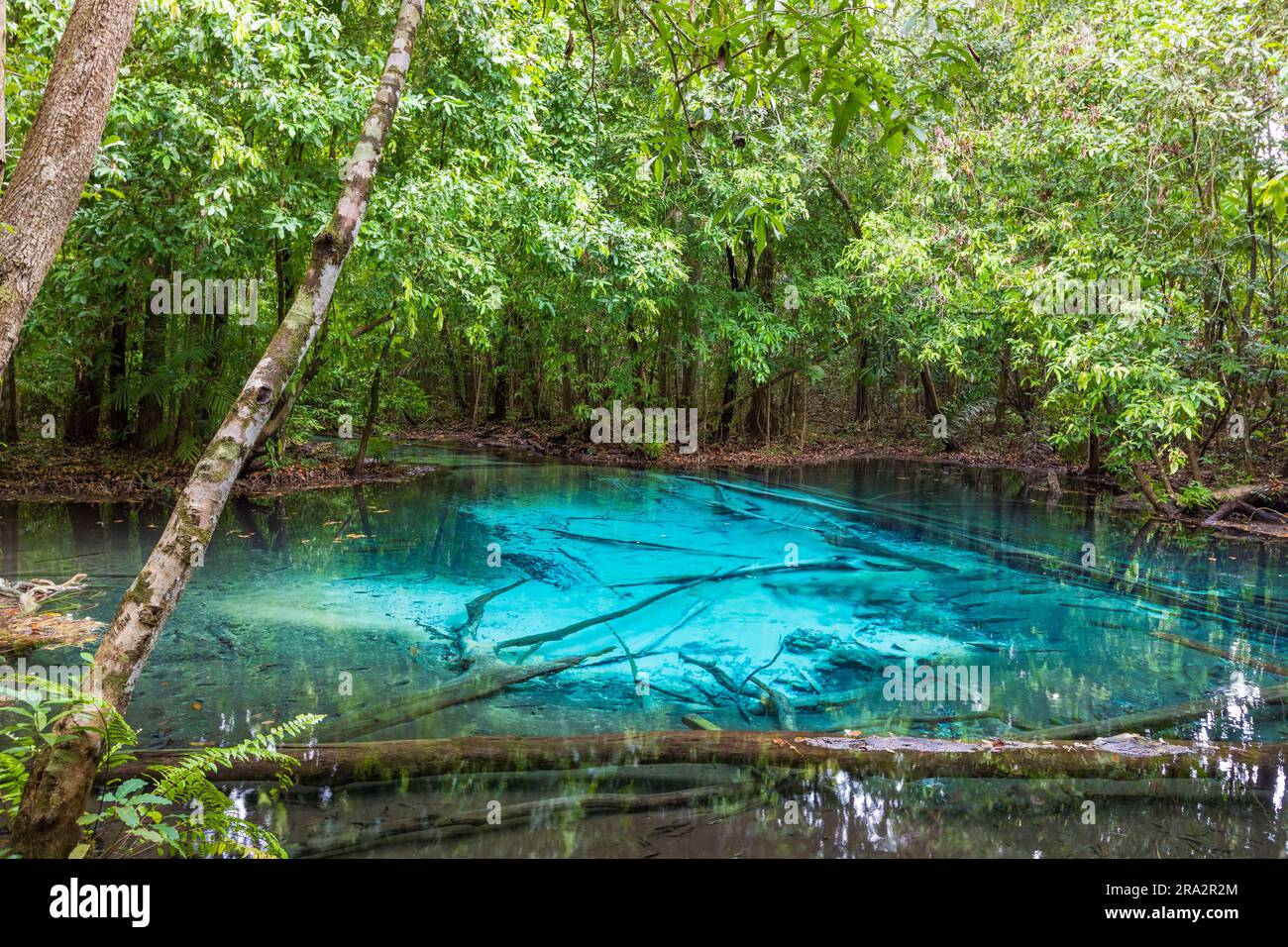 Thailand, Krabi Province, Khlong Thom, Khao Phra - Bang Khram Wildlife ...