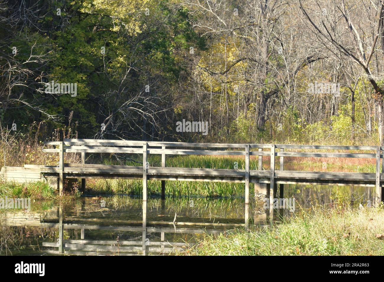 Water falling into pond hi-res stock photography and images - Alamy