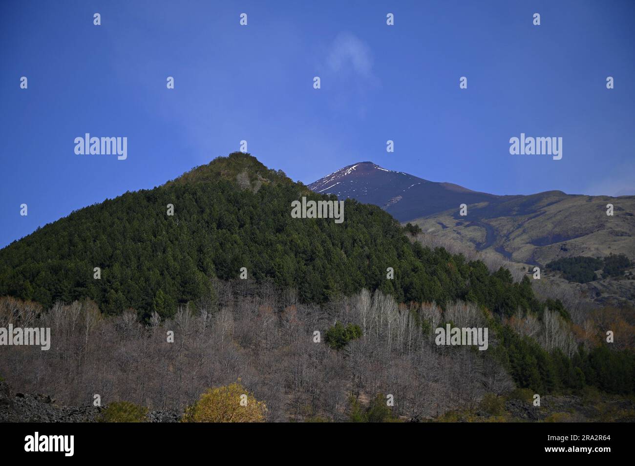 Scenic landscape on the grounds of Parco dell'Etna a protected natural ...