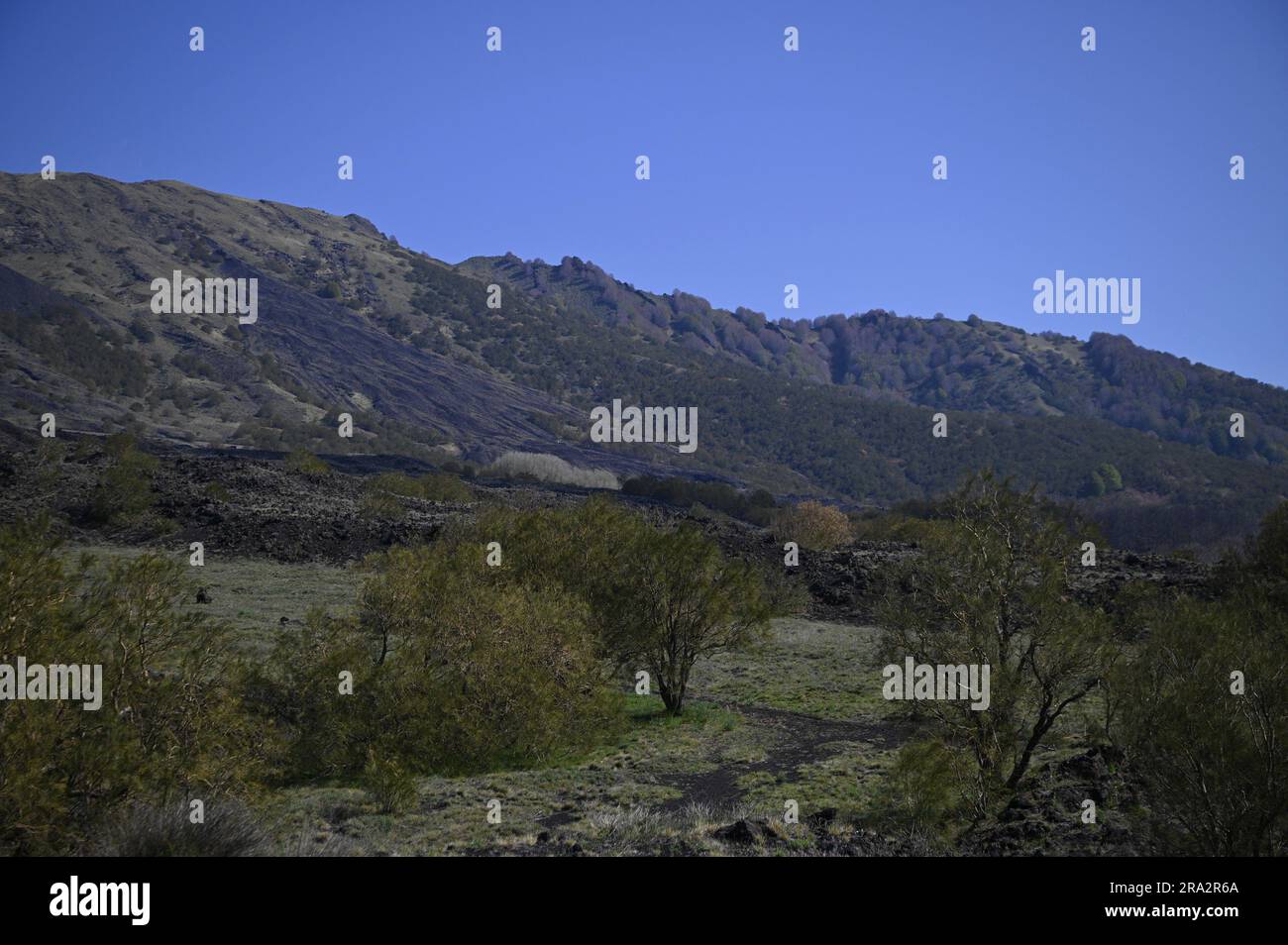 Scenic landscape on the grounds of Parco dell'Etna a protected natural ...