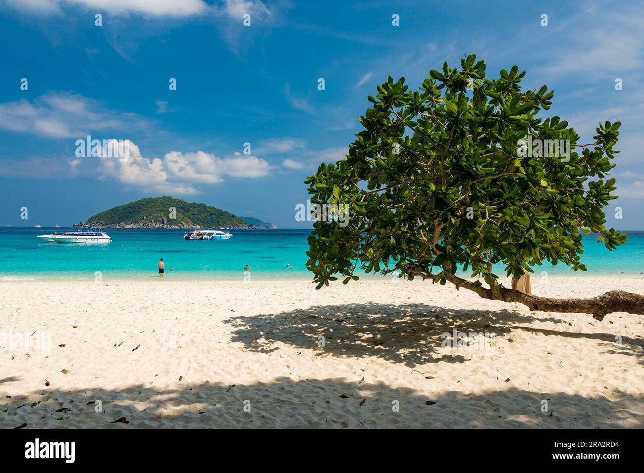 Thailand, Phang Nga Province, Similan national marine park, Koh Miang ...