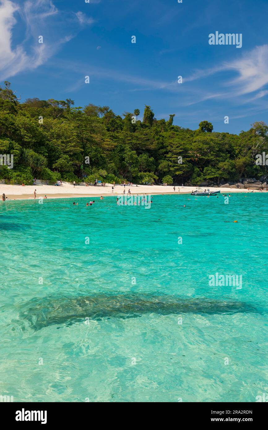 Thailand, Phang Nga Province, Similan national marine park, Koh Miang ...