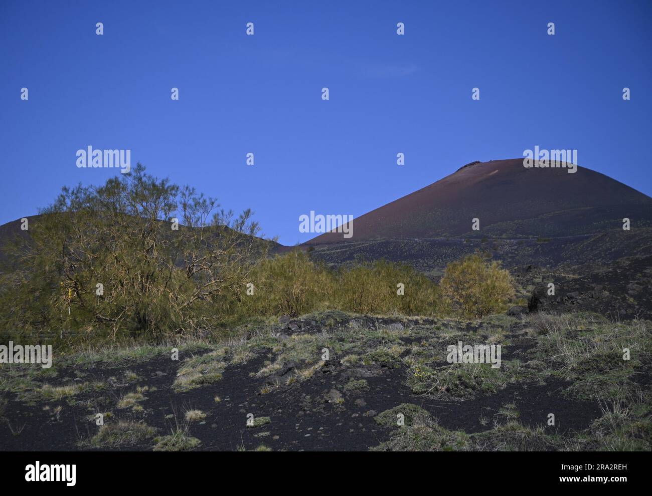 Scenic landscape on the grounds of Parco dell'Etna a protected natural ...
