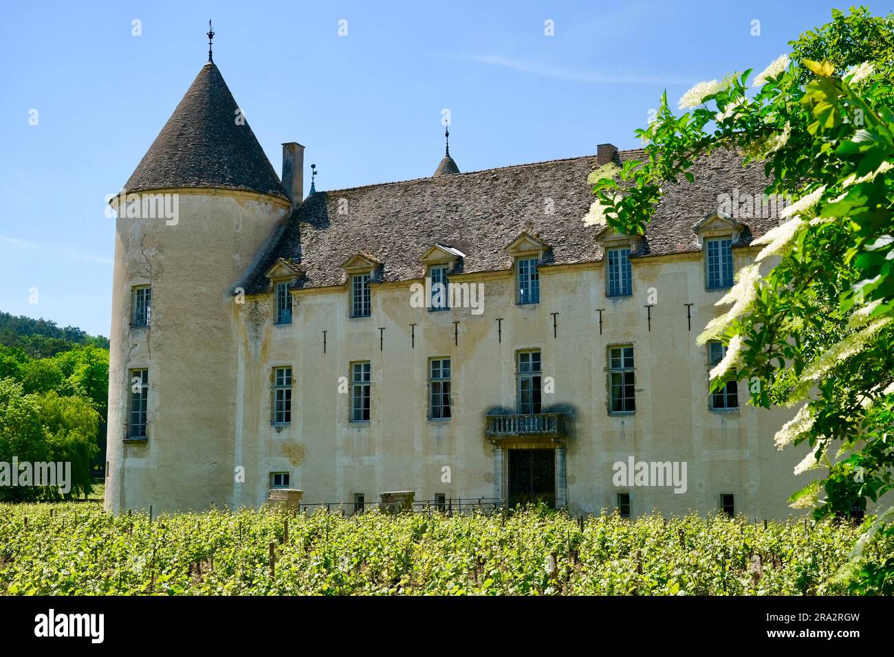 Wine collections hi-res stock photography and images - Alamy