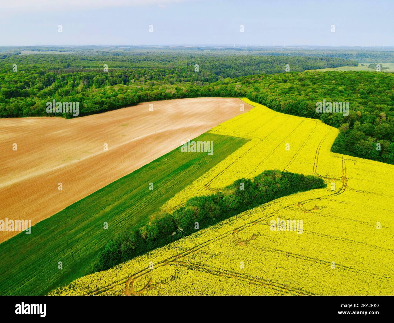 Blaisy haut hi-res stock photography and images - Alamy