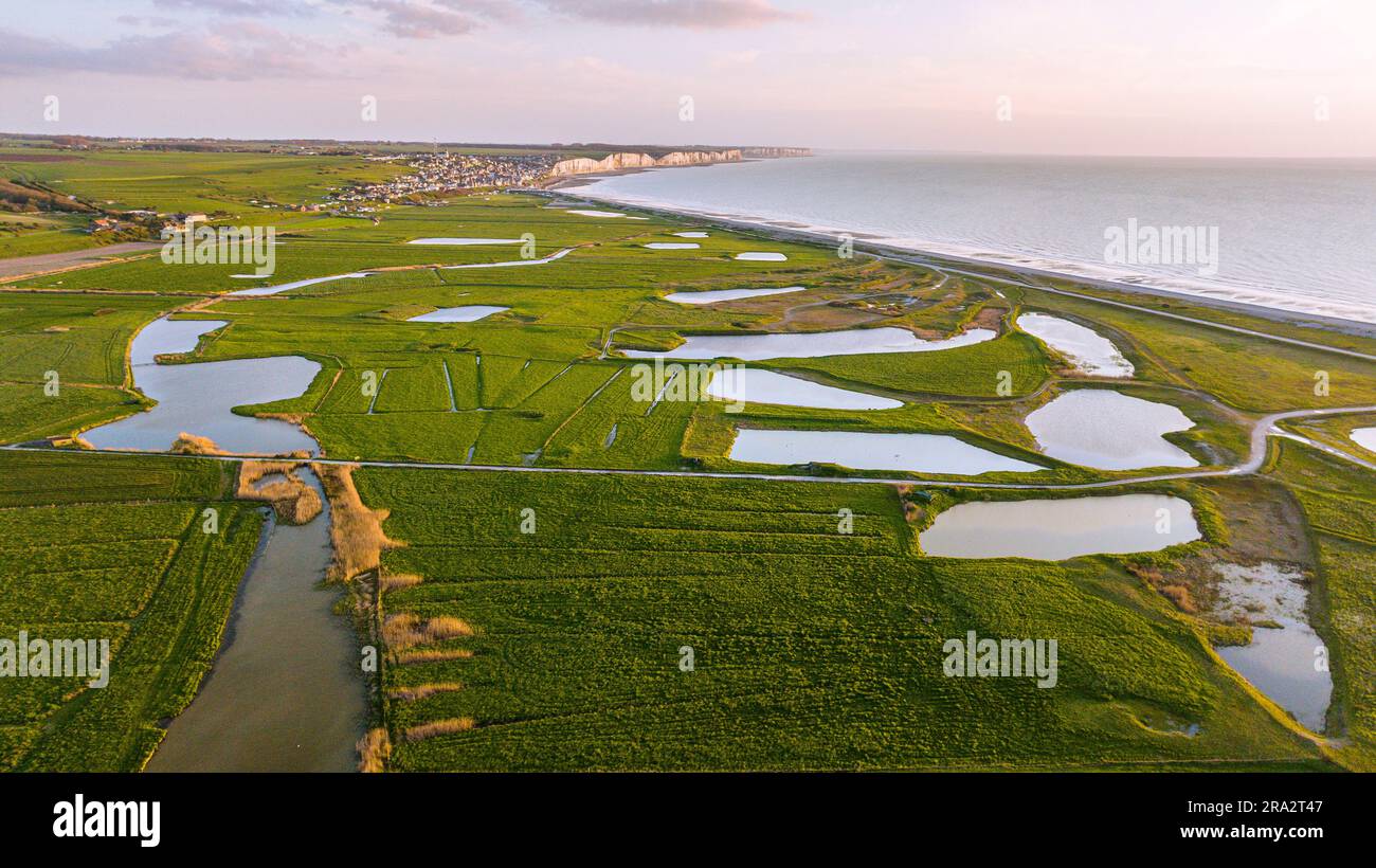 France, Somme, Baie de Somme, Ault, Cayeux-sur-mer, Le hâble d'Ault ...