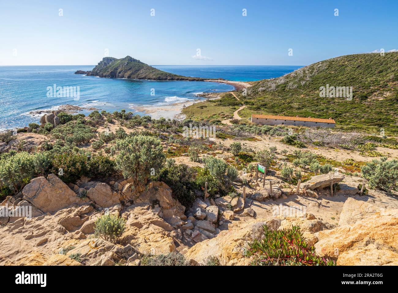 France, Var, Saint-Tropez peninsula, Ramatuelle, Coastal path towards ...