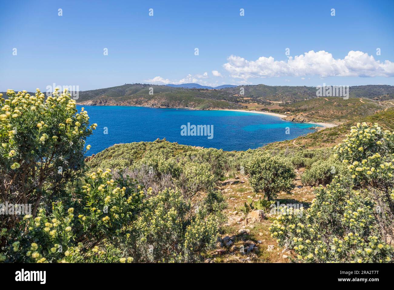 France, Var, Saint-Tropez peninsula, Croix-Valmer, Briande Bay and Cap ...
