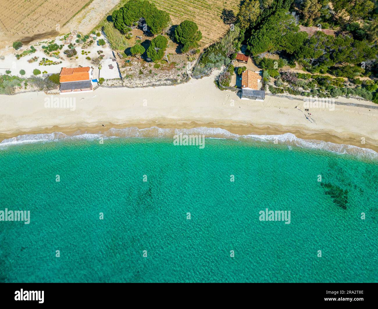 France, Var, Saint-Tropez peninsula, La Croix-Valmer, Briande beach and ...