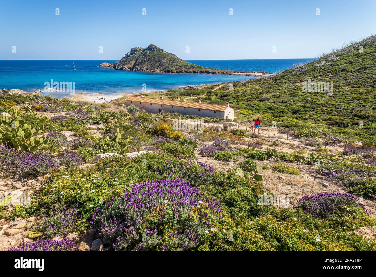 France, Var, Saint-Tropez peninsula, Ramatuelle, the Douanes House on ...