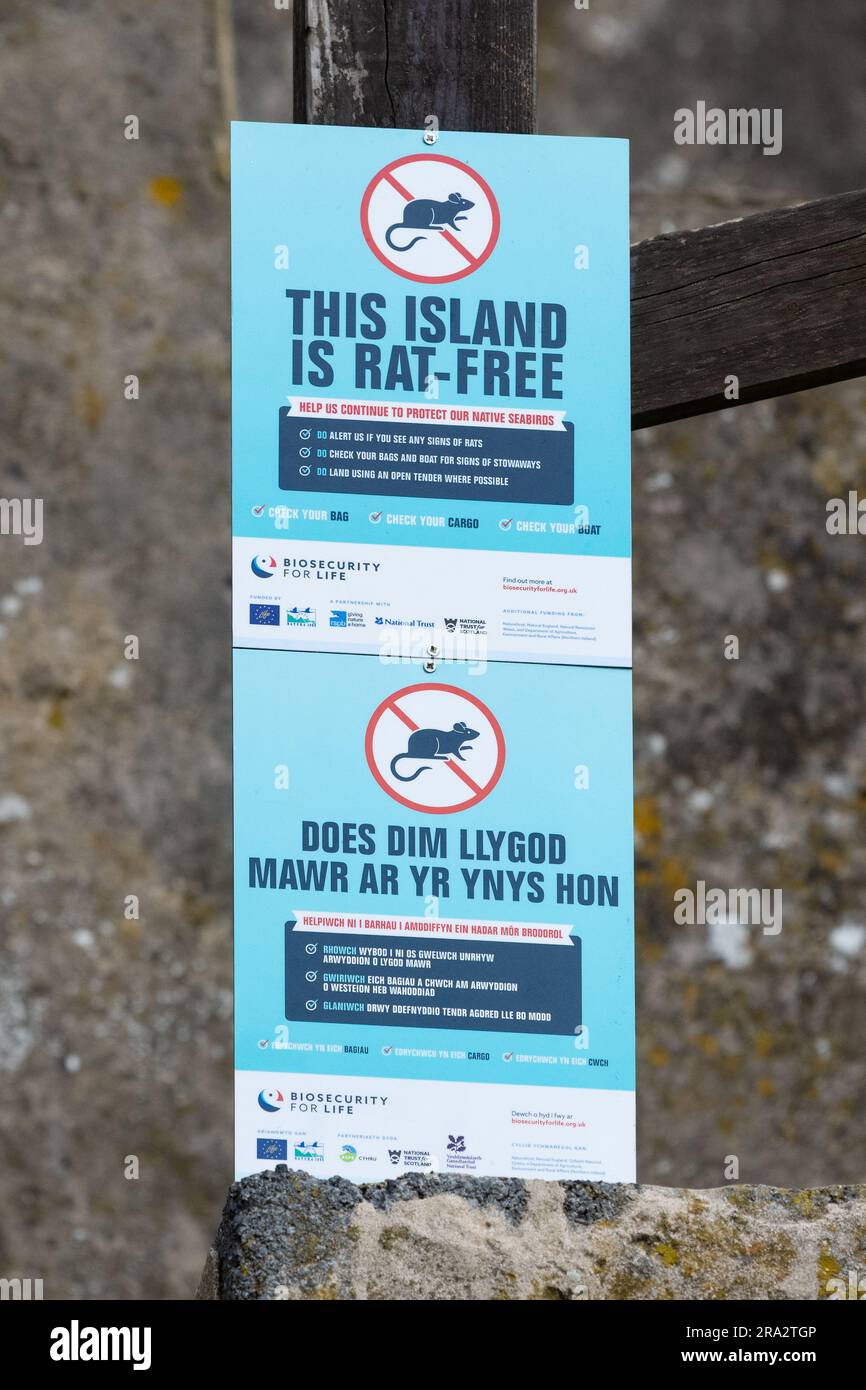 Biosecurity - This Island is Rat Free sign on Skomer, Wales, an island ...