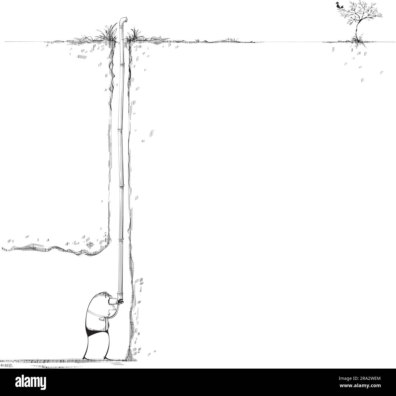 Hidden bird nest Stock Vector Images - Alamy