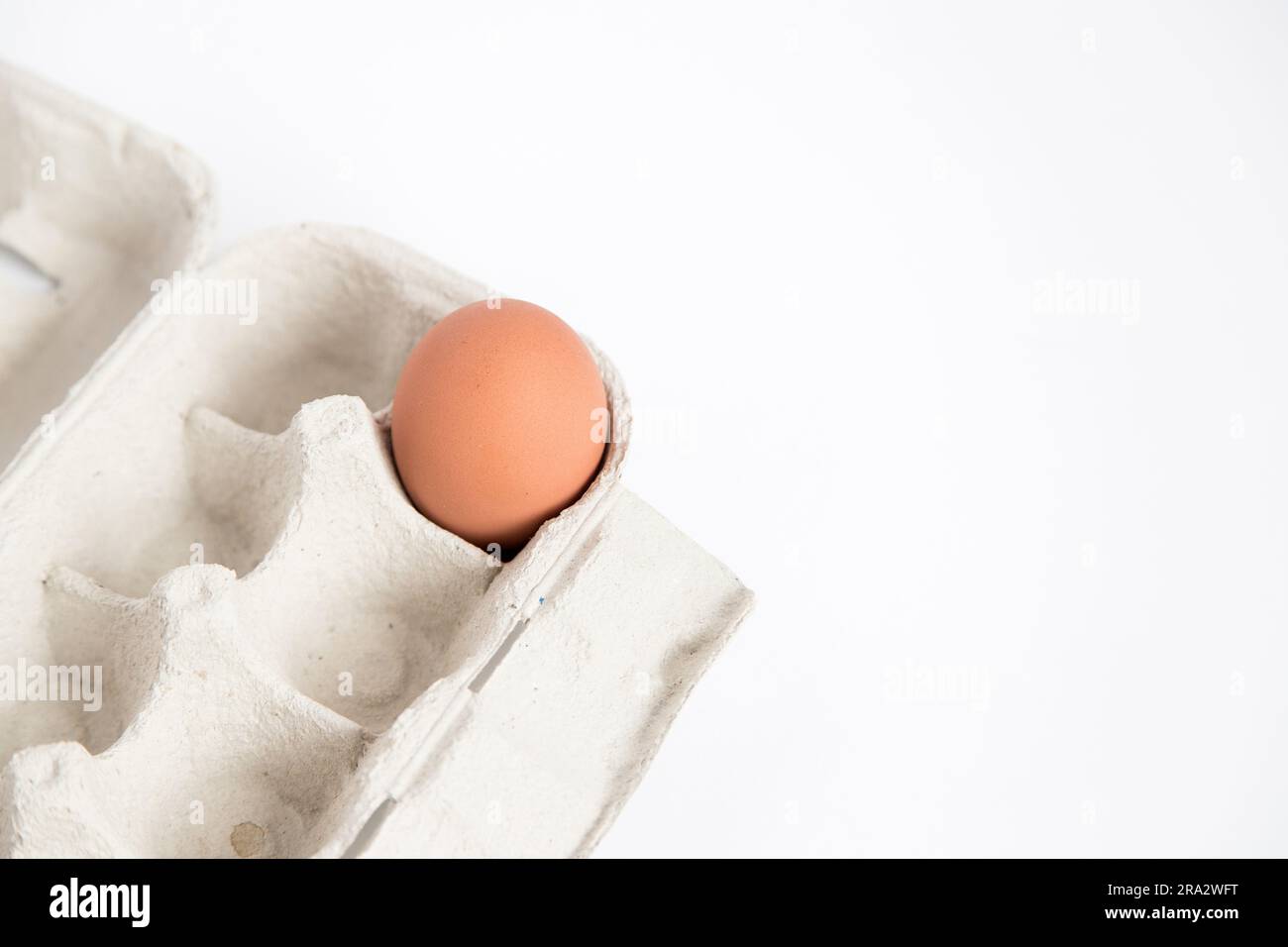 Detail of an open recycled cardboard egg carton with an egg inside on a ...