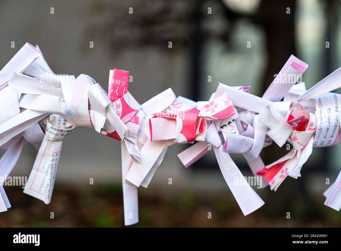 Bad luck papers hi-res stock photography and images - Alamy