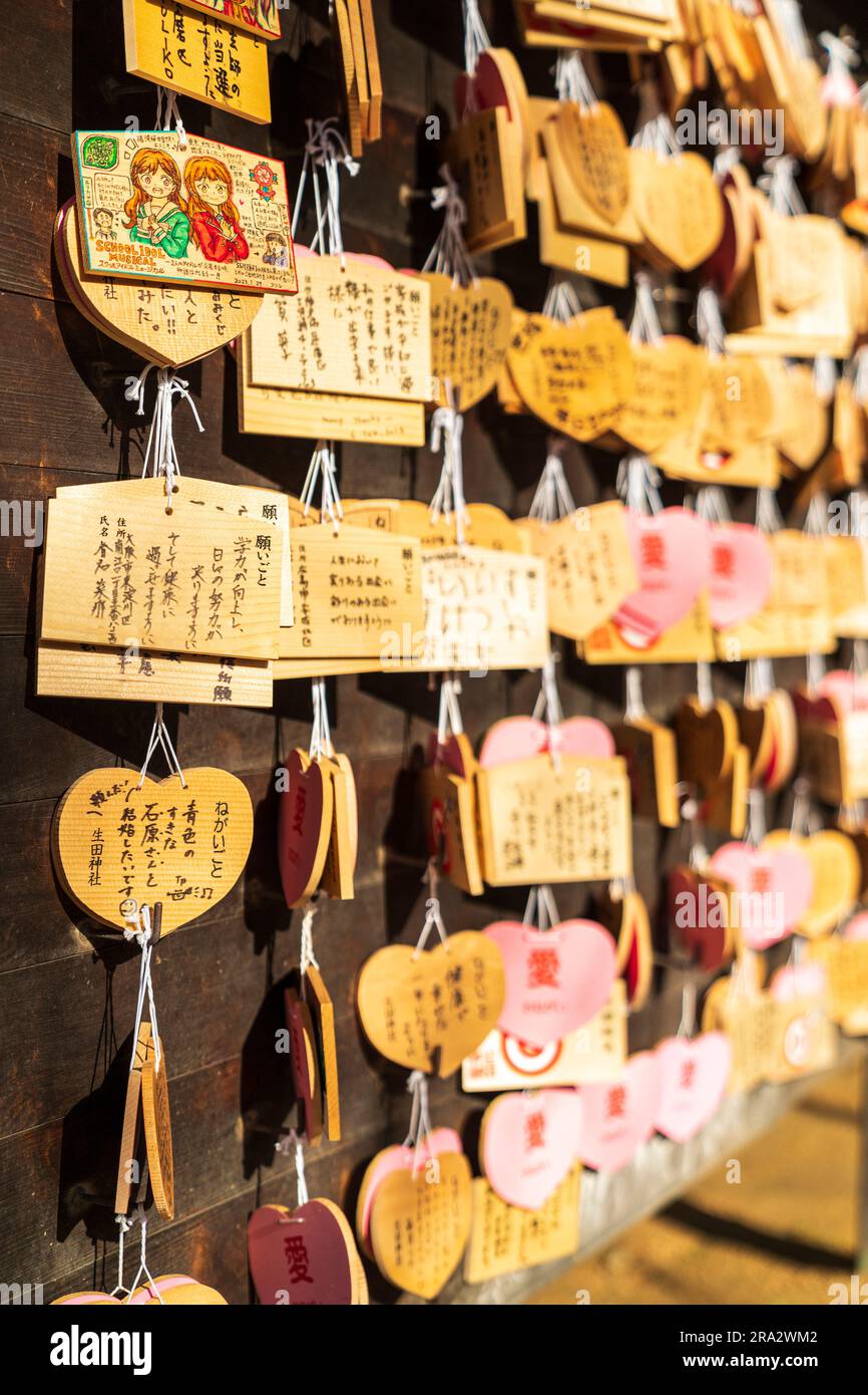 Rows of Japanese Shinto ema hanging on wooden board. Pink heart shaped ...