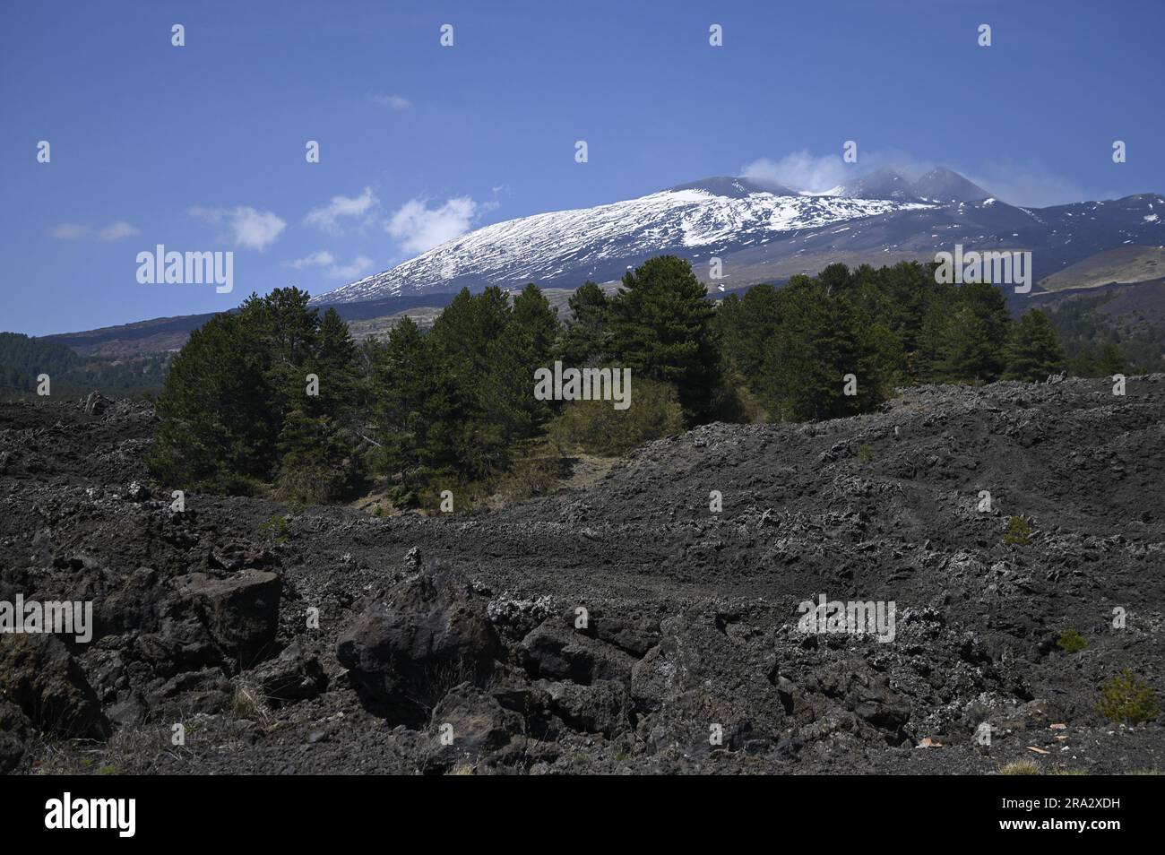 Scenic landscape on the grounds of Parco dell'Etna a protected natural ...