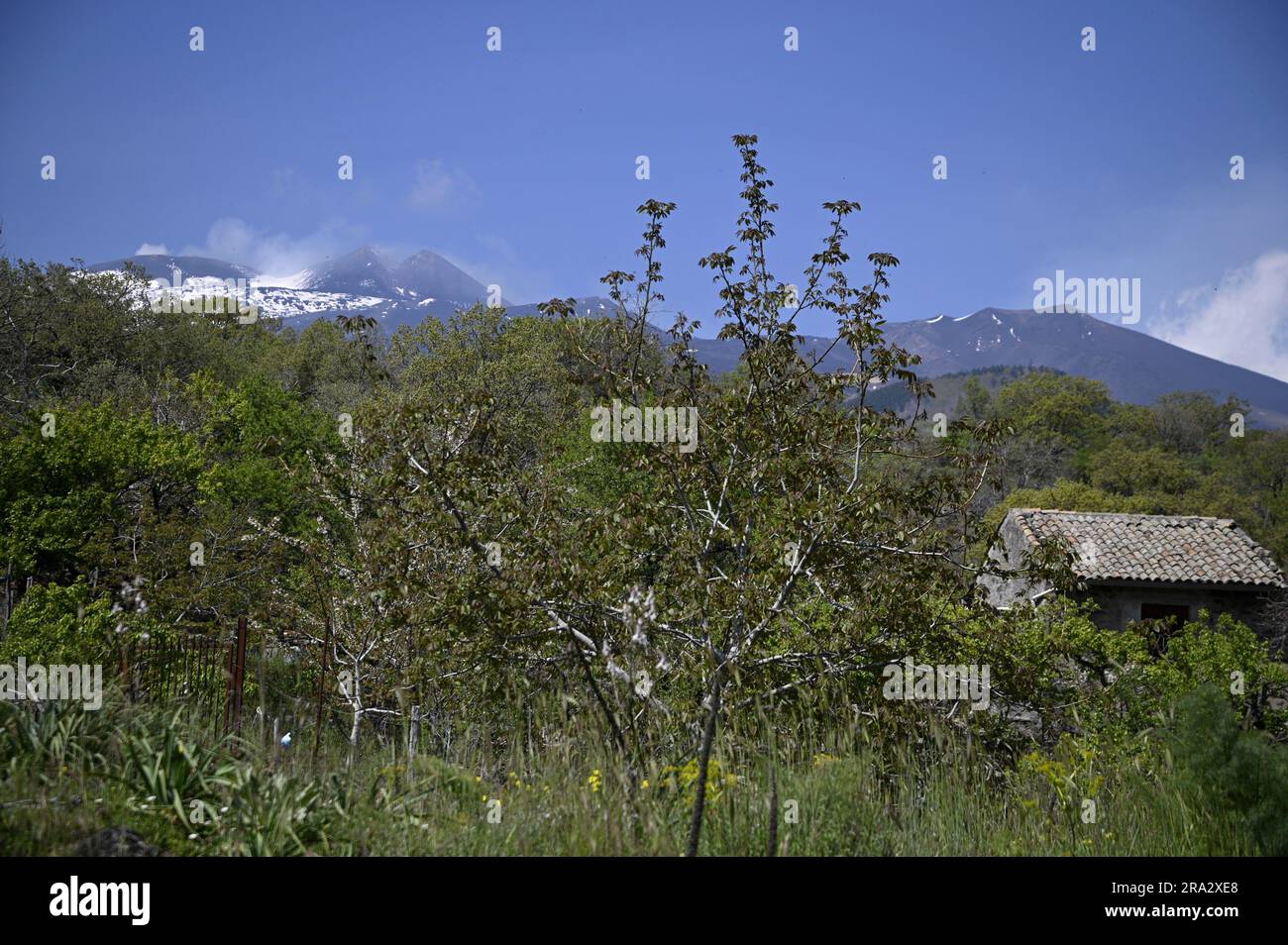 Scenic landscape on the grounds of Parco dell'Etna a protected natural ...