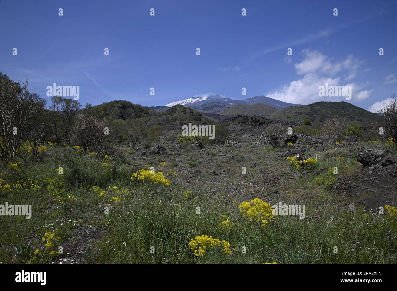 Scenic landscape on the grounds of Parco dell'Etna a protected natural ...