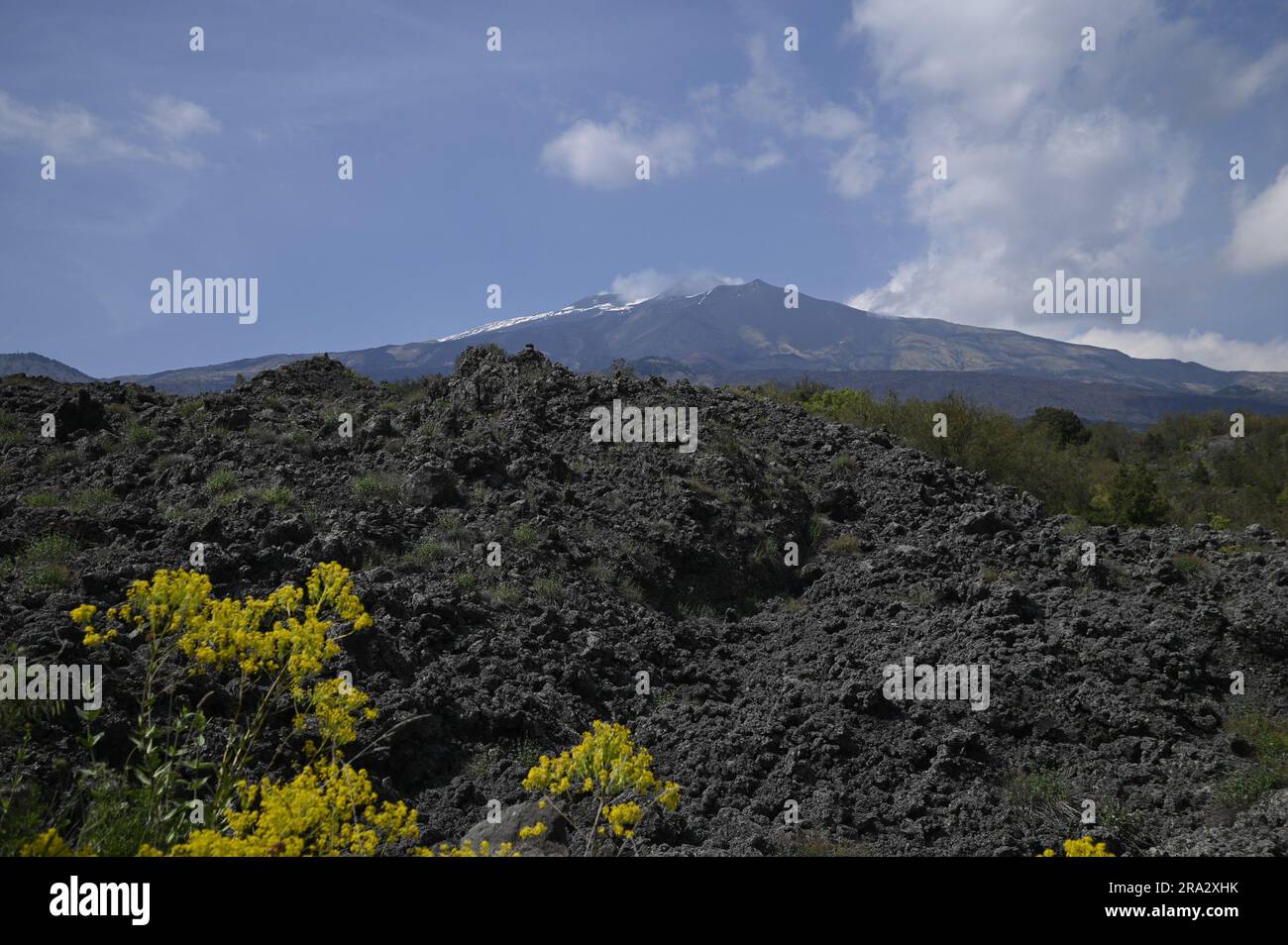 Scenic landscape on the grounds of Parco dell'Etna a protected natural ...