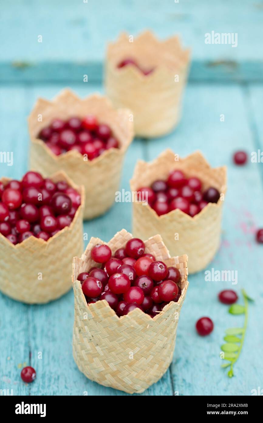 sour berry cranberries in small wicker baskets on a blue background ...