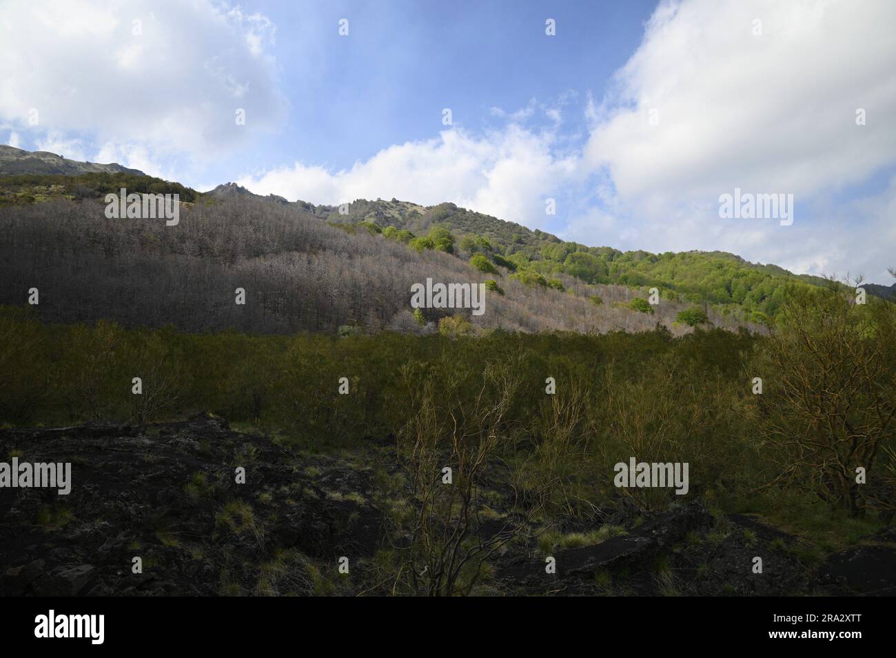 Scenic landscape on the grounds of Parco dell'Etna a protected natural ...