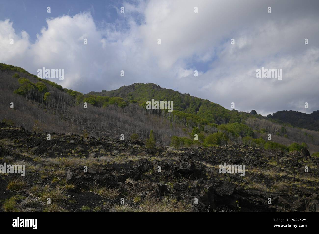 Scenic landscape on the grounds of Parco dell'Etna a protected natural ...