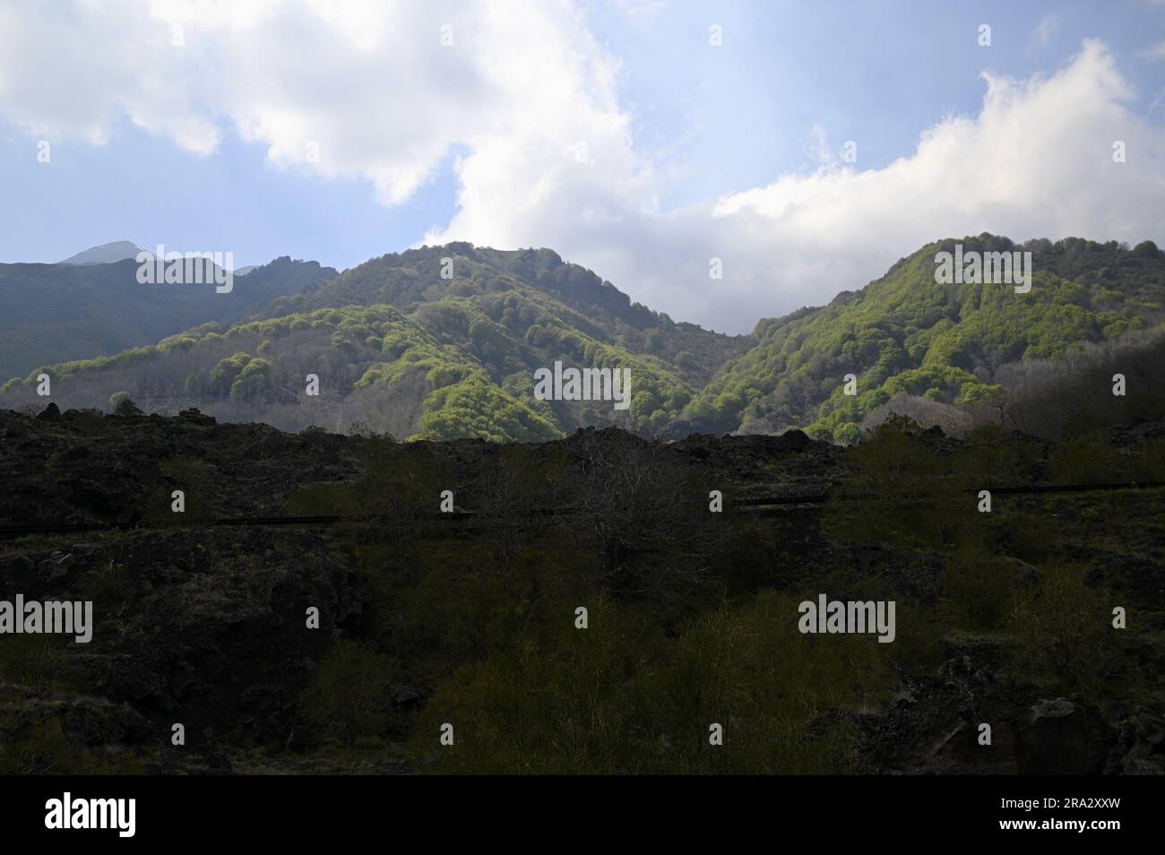 Scenic landscape on the grounds of Parco dell'Etna a protected natural ...